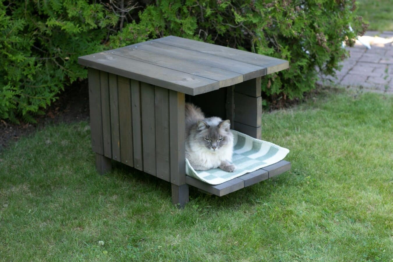 Kattehus av MøreRoyal-rester % - Talgø MøreRoyal